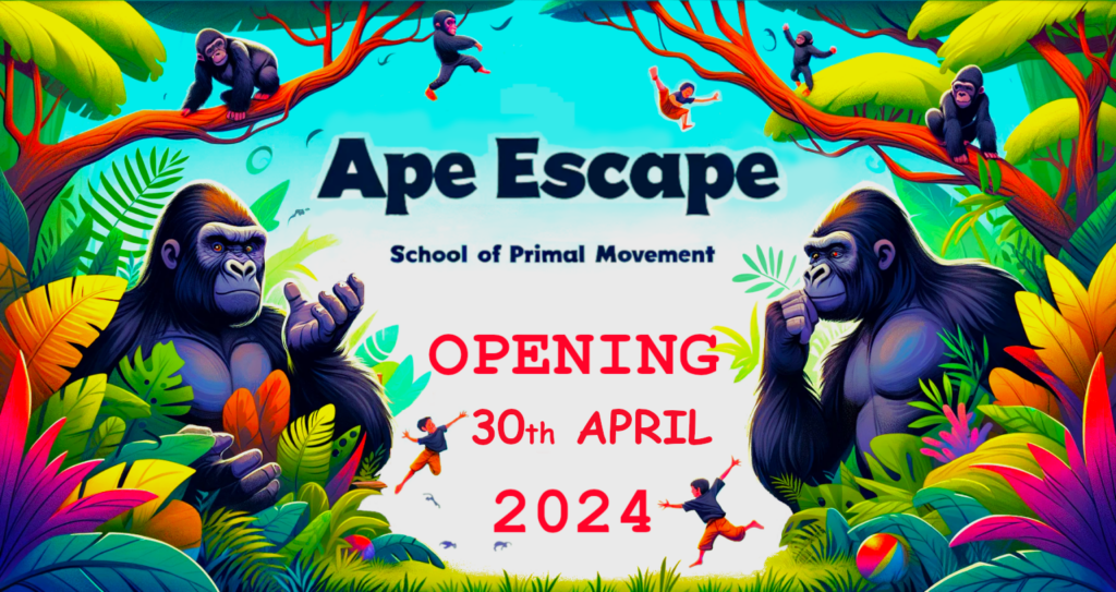 Home - Ape Escape | Gymnastic Classes | Birthday Parties | Perth ...